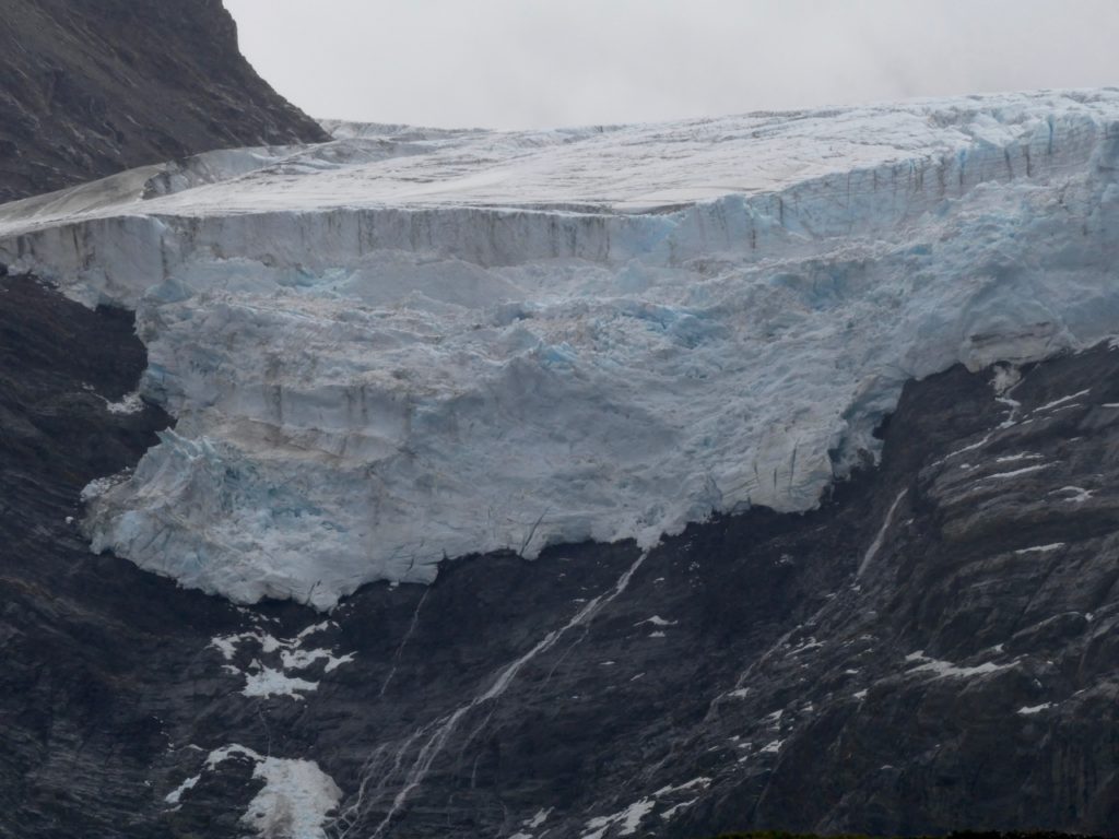 Gold Harbour’s black sand and battling seals - Sailing to Antarctica